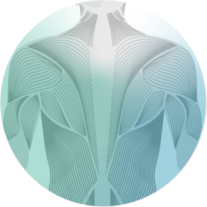 eCovery - Digitale Physiotherapie per App